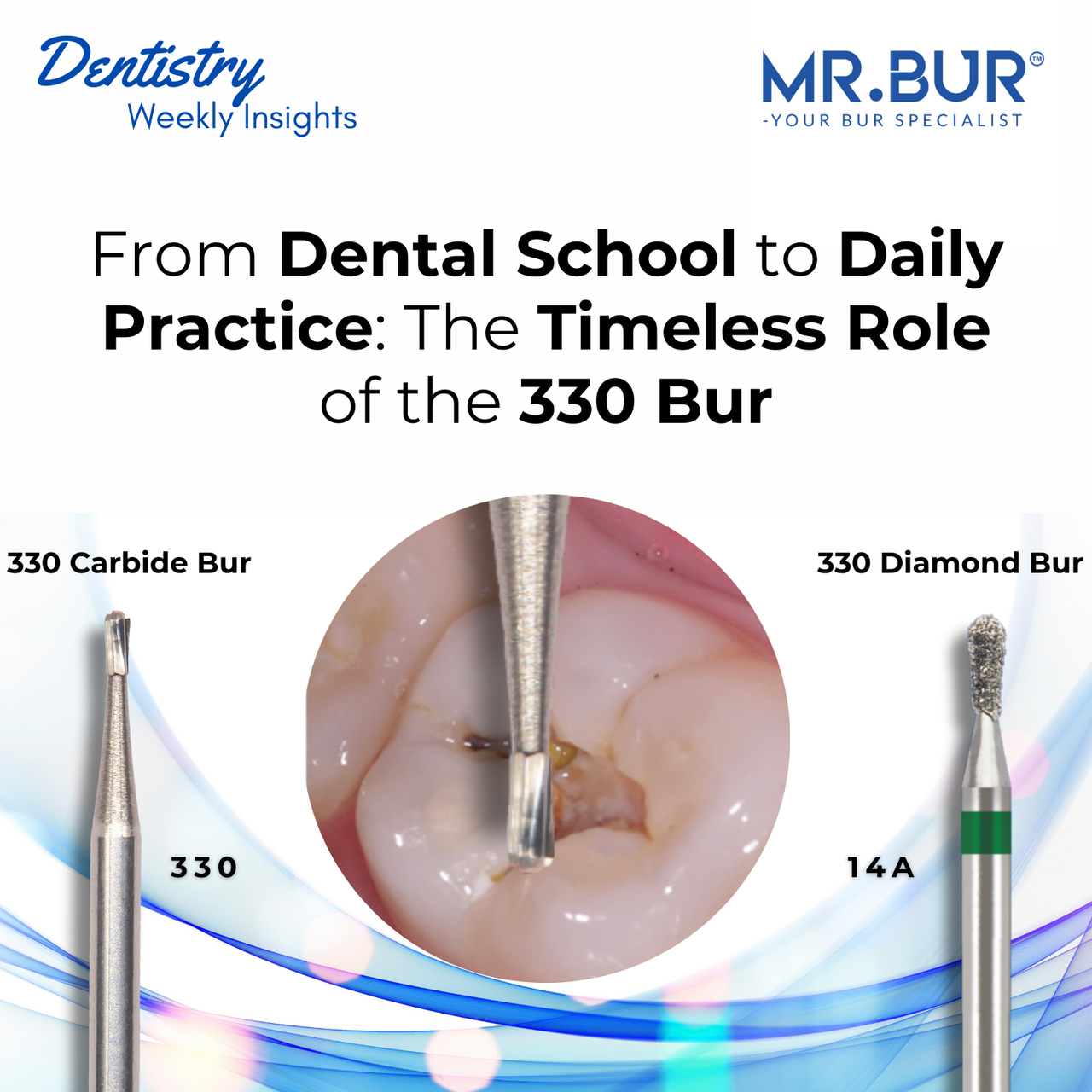 Education – Mr Bur