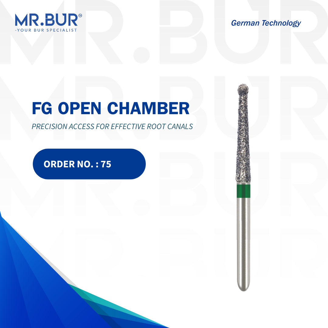 The Best Endo Access Open Chamber Coarse Diamond Bur FG 30pcs | MR. BUR ...
